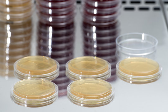 「Rodac」の写真素材 | 9件の無料イラスト画像 | Adobe Stock