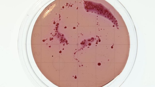 รูปภาพRodac – เลือกดูภาพถ่ายสต็อก เวกเตอร์ และวิดีโอ9 | Adobe Stock