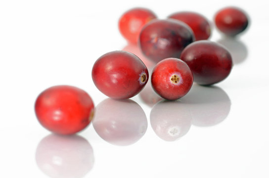 รูปภาพKranbeeren – เลือกดูภาพถ่ายสต็อก เวกเตอร์ และวิดีโอ165 | Adobe Stock