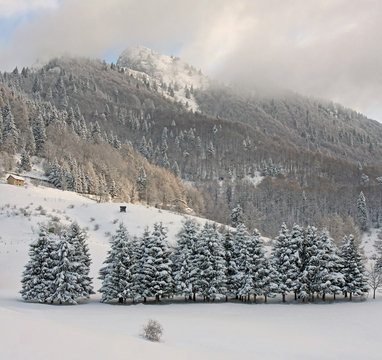 รูปภาพCimone – เลือกดูภาพถ่ายสต็อก เวกเตอร์ และวิดีโอ923 | Adobe Stock