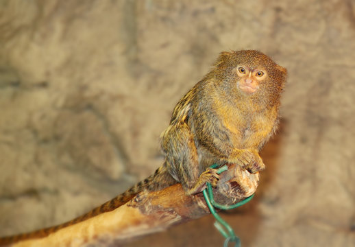 Tropicarium Bilder – Durchsuchen 112 Archivfotos, Vektorgrafiken und ...