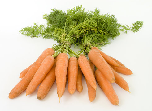 รูปภาพTubero – เลือกดูภาพถ่ายสต็อก เวกเตอร์ และวิดีโอ1,288 | Adobe Stock