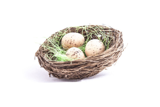 รูปภาพPiskle – เลือกดูภาพถ่ายสต็อก เวกเตอร์ และวิดีโอ115 | Adobe Stock