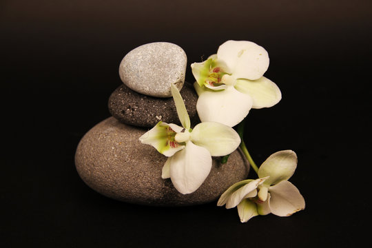 Zenitude Images – Parcourir 658 le catalogue de photos, vecteurs et ...