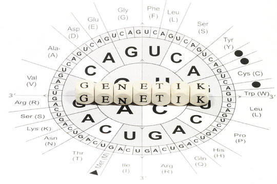 Code-Sonne Images – Browse 6 Stock Photos, Vectors, and Video | Adobe Stock