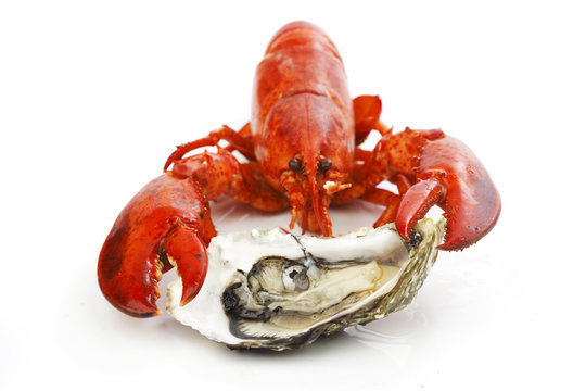 Lobster Images – Browse 121,725 Stock Photos, Vectors, and Video ...