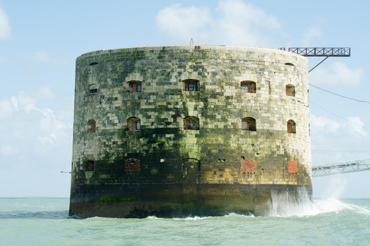 รูปภาพBoyard – เลือกดูภาพถ่ายสต็อก เวกเตอร์ และวิดีโอ823 | Adobe Stock