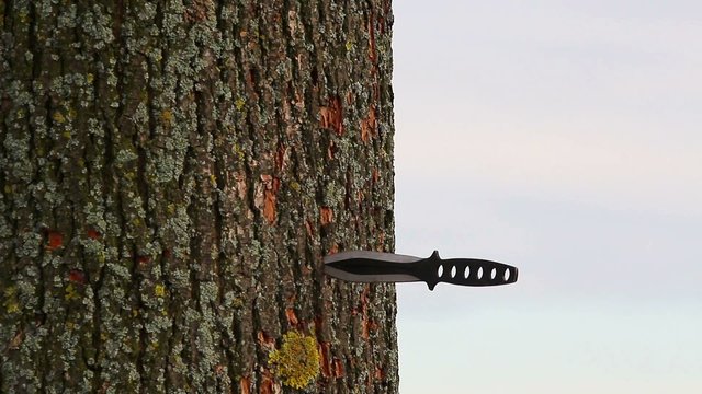 "Throwing Knife" Images – Browse 1,251 Stock Photos, Vectors, and Video ...