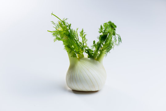 รูปภาพFenouil – เลือกดูภาพถ่ายสต็อก เวกเตอร์ และวิดีโอ1,286 | Adobe Stock