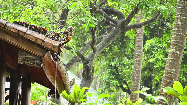 Culli Images – Browse 48 Stock Photos, Vectors, and Video | Adobe Stock