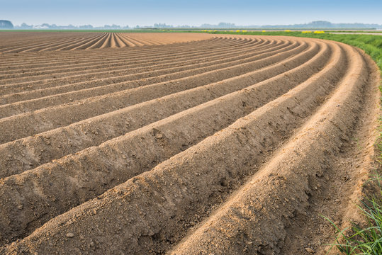 Furrow Images – Browse 853,734 Stock Photos, Vectors, and Video | Adobe ...