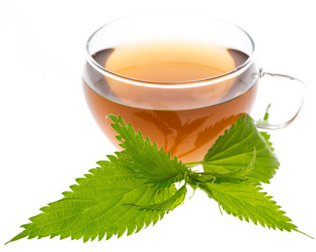 1,684 BESTE Brennesseltee BILDER, STOCK-FOTOS & -VEKTORGRAFIKEN | Adobe ...