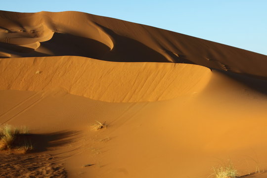 รูปภาพChebbi – เลือกดูภาพถ่ายสต็อก เวกเตอร์ และวิดีโอ6,347 | Adobe Stock