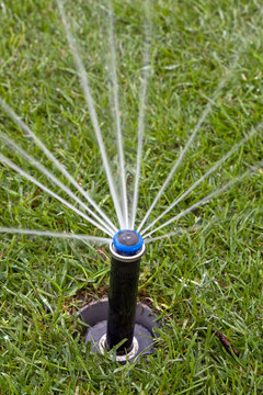 Sprinkel Images – Browse 37 Stock Photos, Vectors, and Video | Adobe Stock