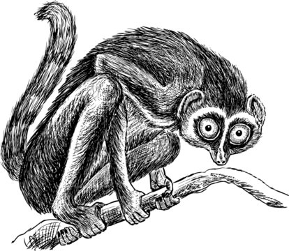 Manky bilder – Bläddra bland 190 stockfoton, vektorer och videor ...