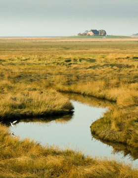Imagens de Marschland – Explore Fotografias do Stock, Vetores e Vídeos ...