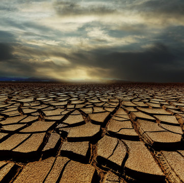 รูปภาพMire – เลือกดูภาพถ่ายสต็อก เวกเตอร์ และวิดีโอ89,172 | Adobe Stock