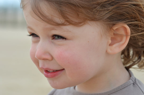 รูปภาพScruter – เลือกดูภาพถ่ายสต็อก เวกเตอร์ และวิดีโอ287 | Adobe Stock