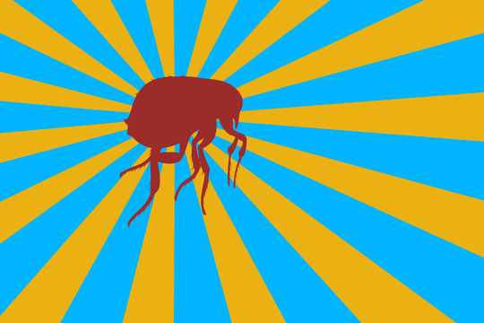 Flohstich Images – Browse 4 Stock Photos, Vectors, and Video | Adobe Stock