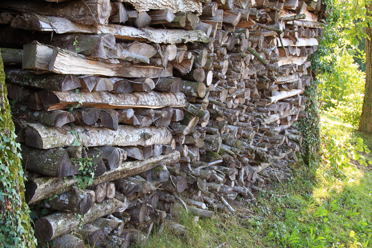 Abbatage Images – Browse 44 Stock Photos, Vectors, and Video | Adobe Stock