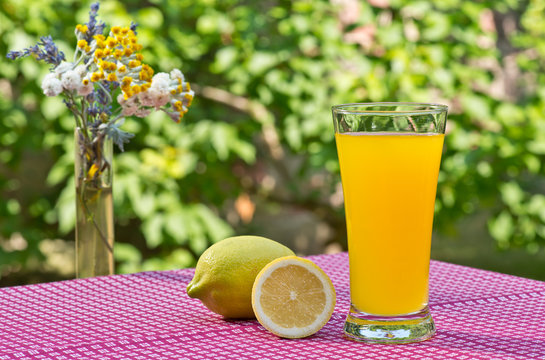 รูปภาพSqush – เลือกดูภาพถ่ายสต็อก เวกเตอร์ และวิดีโอ73 | Adobe Stock