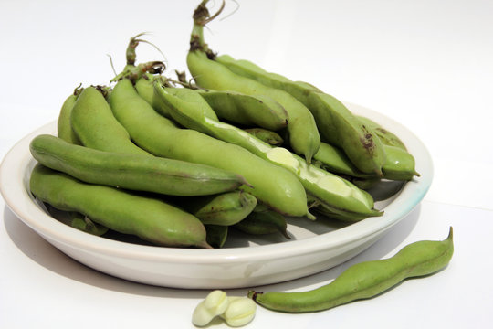 「Saubohne」の写真素材 | 207件の無料イラスト画像 | Adobe Stock