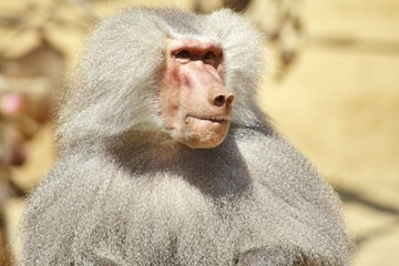 Fotos, lizenzfreie Bilder, Grafiken, Vektoren und Videos von ...