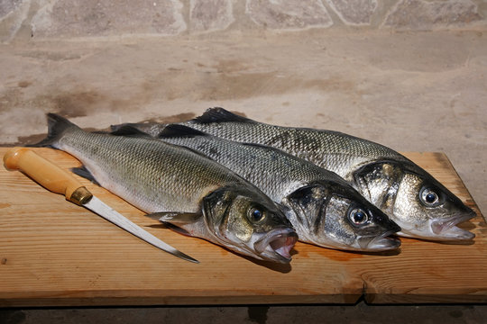 「Seebarsch」の画像 - 111 件の Stock 写真、ベクターおよびビデオ | Adobe Stock