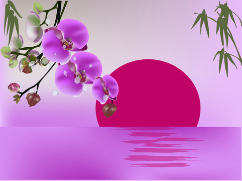 Bumboo Images – Browse 40 Stock Photos, Vectors, and Video | Adobe Stock