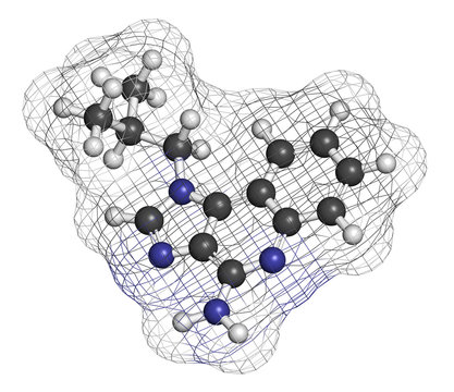 รูปภาพActinic – เลือกดูภาพถ่ายสต็อก เวกเตอร์ และวิดีโอ383 | Adobe Stock