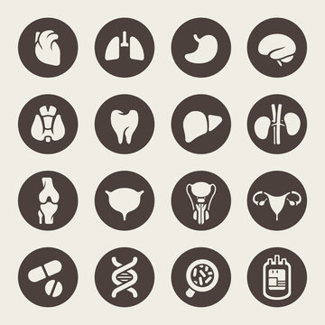 Endocrinology Icon Bilder – Durchsuchen 2,701 Archivfotos ...