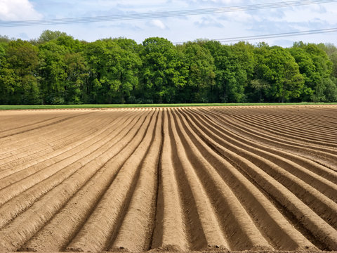 Arable Gambar – Telusuri 562 Foto, Vektor, dan Video Stok | Adobe Stock