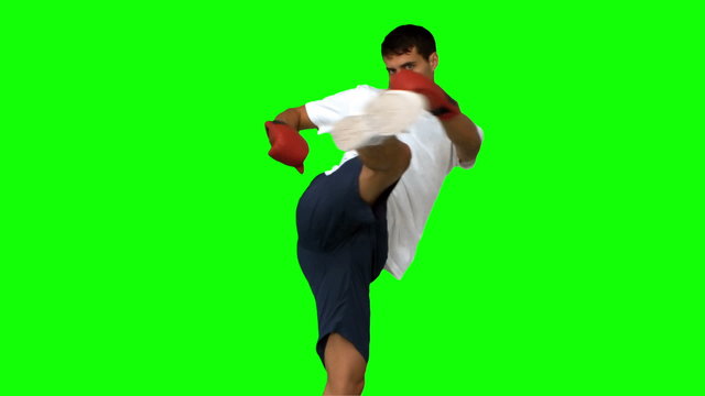 "High Kick" Bilder – Durchsuchen 573 Archivfotos, Vektorgrafiken und ...