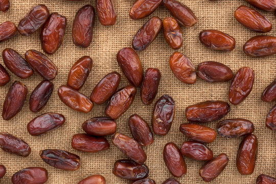 รูปภาพFinik – เลือกดูภาพถ่ายสต็อก เวกเตอร์ และวิดีโอ111 | Adobe Stock