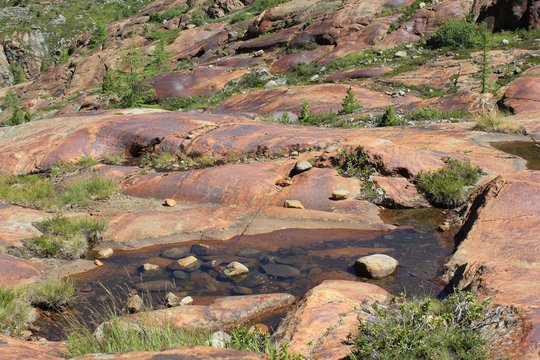 Gumpe Bilder – Durchsuchen 303 Archivfotos, Vektorgrafiken und Videos ...