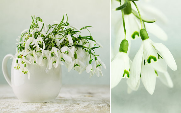 Weich bilder – Bläddra bland 61,298 stockfoton, vektorer och videor ...