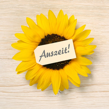 Pausenschild Bilder – Durchsuchen 21,135 Archivfotos, Vektorgrafiken ...