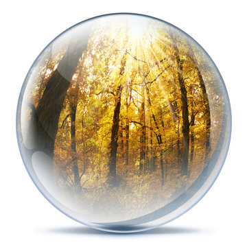 Glaskugel Images – Browse 10,936 Stock Photos, Vectors, and Video ...