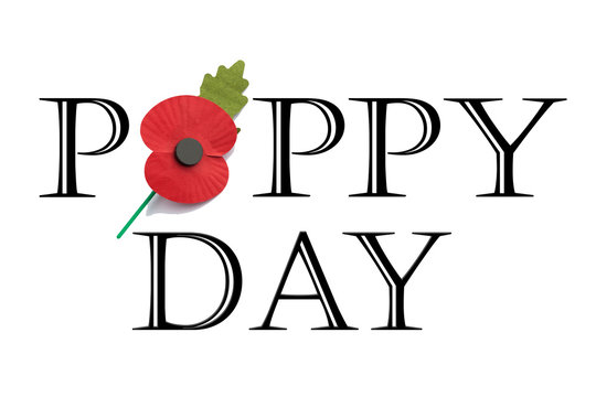 "Poppy Day" Images – Browse 1,811 Stock Photos, Vectors, and Video ...