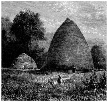 Kanaque Images – Browse 3 Stock Photos, Vectors, and Video | Adobe Stock