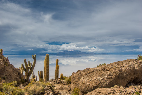 รูปภาพIncahuasi – เลือกดูภาพถ่ายสต็อก เวกเตอร์ และวิดีโอ1,928 | Adobe Stock