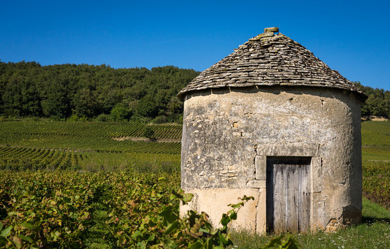 Cabotte Images – Browse 136 Stock Photos, Vectors, and Video | Adobe Stock