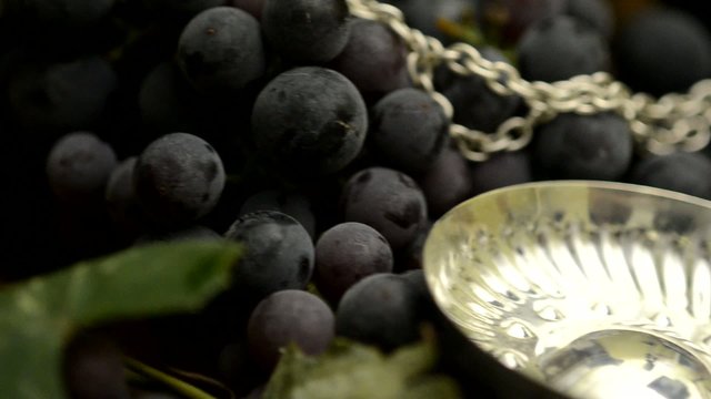 รูปภาพFragolino – เลือกดูภาพถ่ายสต็อก เวกเตอร์ และวิดีโอ172 | Adobe Stock