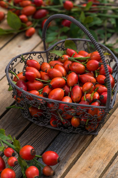 รูปภาพHiffen – เลือกดูภาพถ่ายสต็อก เวกเตอร์ และวิดีโอ326 | Adobe Stock