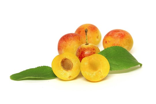 Mirabelle - Images et vidéos libres de droits | Adobe Stock