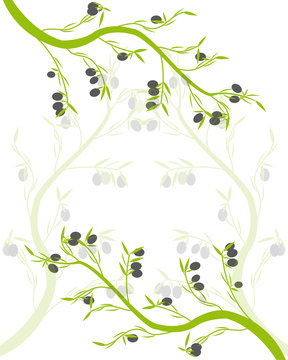 Olive Tree Plan Images – Browse 1,894 Stock Photos, Vectors, and Video ...