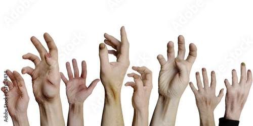Zombie Hands Reaching Up
