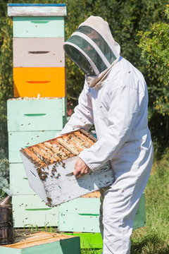 50,635 BEST Beekeeper IMAGES, STOCK PHOTOS & VECTORS | Adobe Stock