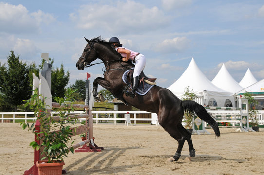 Springpferde Bilder – Durchsuchen 981 Archivfotos, Vektorgrafiken und ...