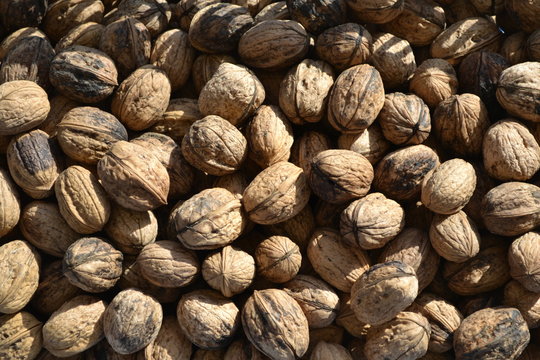 รูปภาพDrupa – เลือกดูภาพถ่ายสต็อก เวกเตอร์ และวิดีโอ531 | Adobe Stock